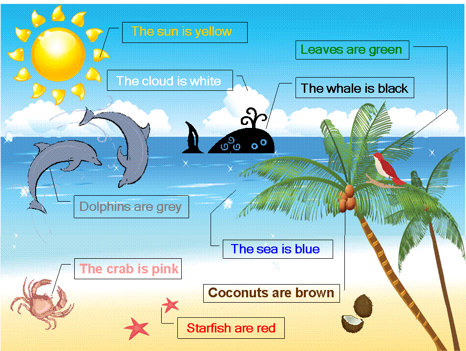 BÁSICO: 1 Lesson Colors and Clothes: 1 Lesson Colors and Clothes